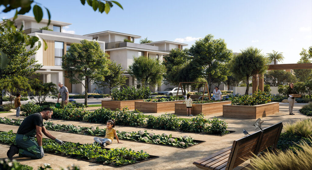 Farm Grove | The Valley | Emaar Properties